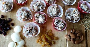 Dried Fruit & Nut Clusters - My Pinterventures