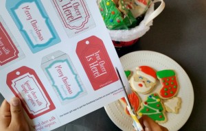 Spread Cheer – Holiday Cookie Gift Baskets - My Pinterventures