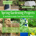 Gardening Tips and Ideas to Help Get Your Garden Started - My ...