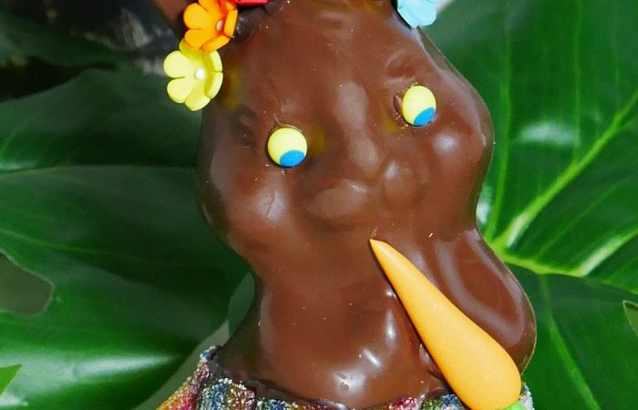 Tropical Chocolate Hula Bunny – My Pinterventures