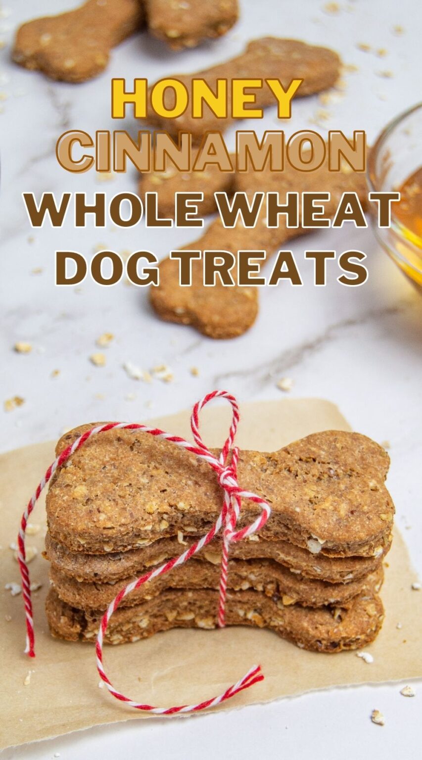 Baked Honey Cinnamon Dog Treats - My Pinterventures